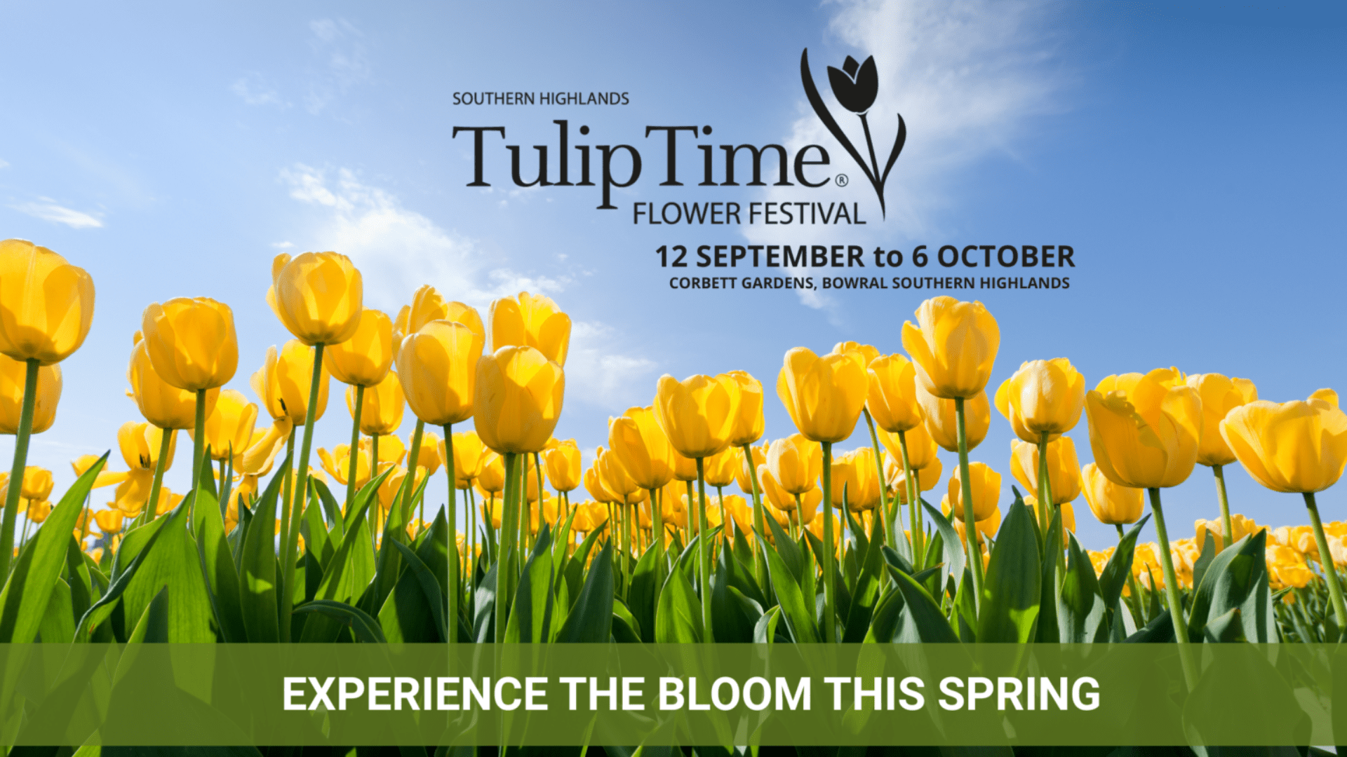 Whats On Tulip Time Flower Festival 2025 Bowral