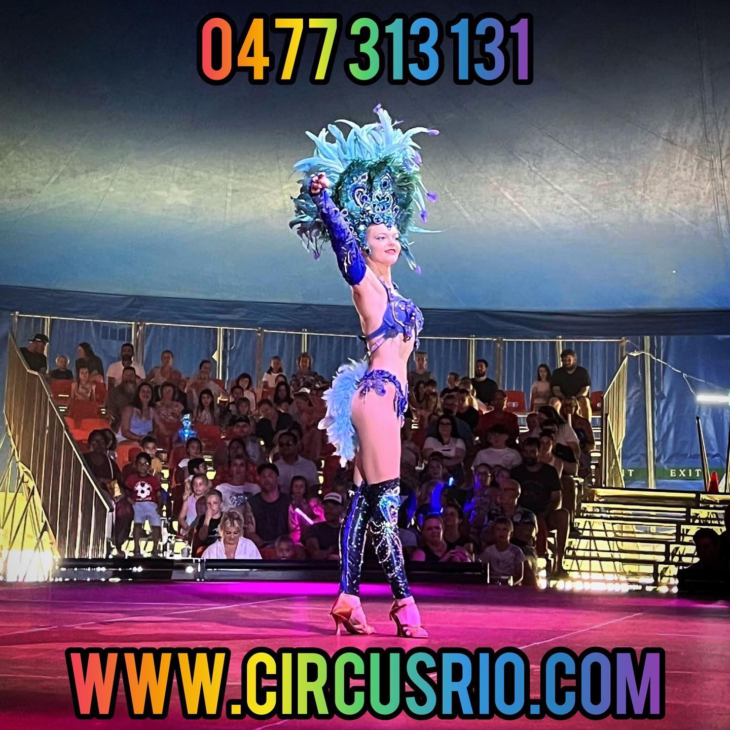 Whats on - Circus Rio | Grafton